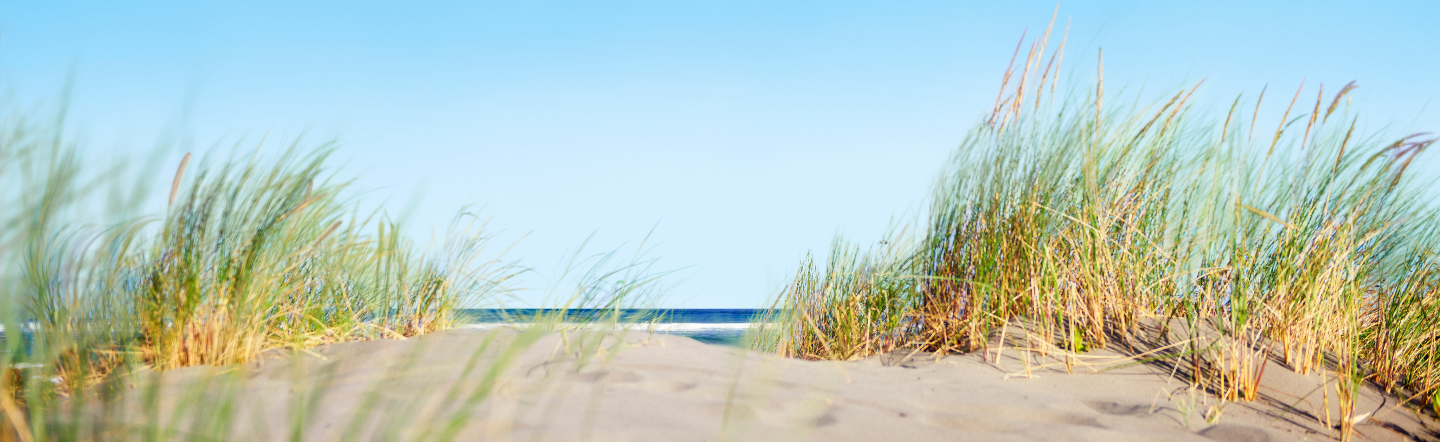 How To Set Up An Abap Cloud Development Environment